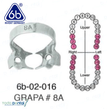 Grapa p/ dique de hule 6B Invent – Deposito Todo Dental